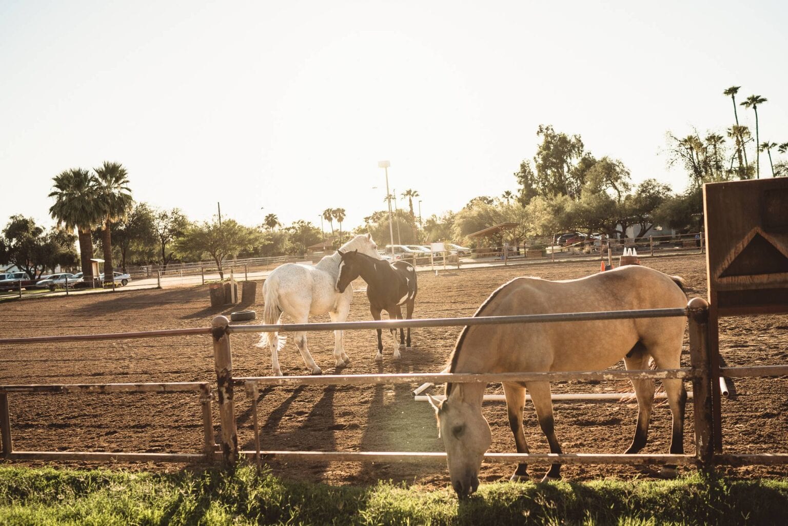 About Hunkapi - Hunkapi